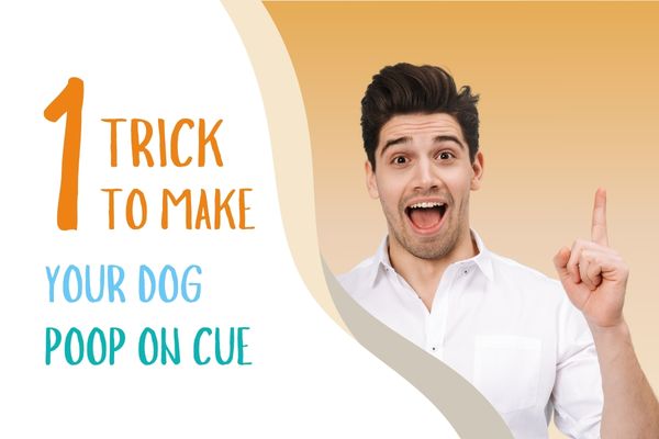 1 Trick To Make Your Dog Poop On Cue