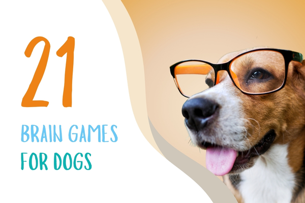 21 Brain Games for Dogs