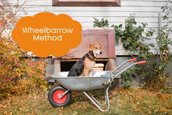 13 Tips To Stop A Dog Fight (Without Getting Hurt)