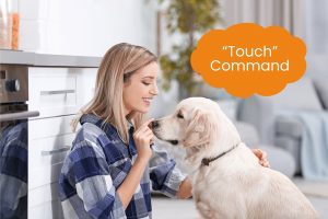 17 Dog Training Commands (#3 Is Vital)
