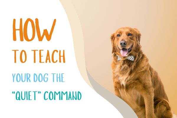 How To Teach Your Dog The 'Quiet' Command
