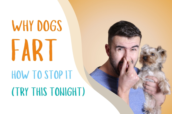 Why Dogs Fart + How To Stop It (Try This Tonight)