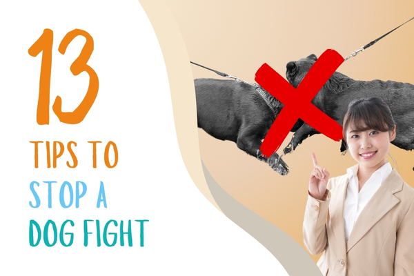13 Tips To Stop A Dog Fight (Without Getting Hurt)