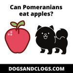 21 Fruits Pomeranians Can And Can’t Eat (Ultimate Guide) – DogsAndClogs