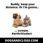 13 Reasons Why Your Dog Suddenly Screams (Dangers + 11 Tips)