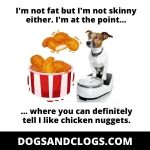 Can Dogs Eat Chicken Nuggets? 9 Dangers + 5 Safety Tips – DogsAndClogs