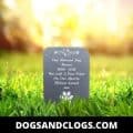 5 Stages Of Dog Decomposition (How Long It Takes & Facts)