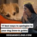 17 Best Ways To Apologize To Your Dog (How-To Guide 2024)