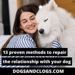 13 Proven Methods To Repair The Relationship With Your Dog – DogsAndClogs