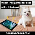 9 Best iPad Games For Dogs In 2023 (#3 Is Hilarious) - DogsAndClogs