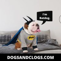 167 Worst Dog Names That Are Terribly Inappropriate (2023) – DogsAndClogs