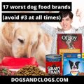 17 Worst Dog Food Brands In 2024 (Avoid #3 At All Times) - DogsAndClogs