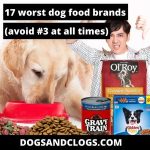 17 Worst Dog Food Brands In 2024 (Avoid #3 At All Times) - DogsAndClogs
