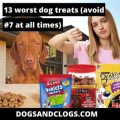 17 Worst Dog Food Brands In 2024 (Avoid #3 At All Times) - DogsAndClogs