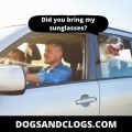 13 Fast & Proven Ways To Calm A Dog In The Car (How-To) - DogsAndClogs