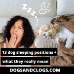 13 Dog Sleeping Positions + What They REALLY Mean (2023) – DogsAndClogs