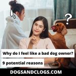 Why Do I Feel Like A Bad Dog Owner? 9 Potential Reasons – DogsAndClogs