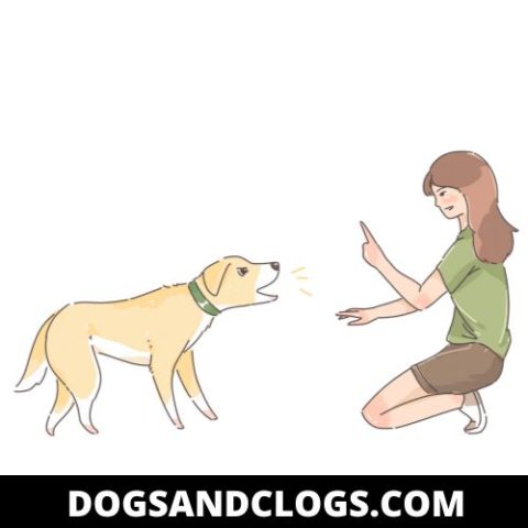 9 Steps To Stop Dog Barking In 7 Days (How-To Guide) - DogsAndClogs