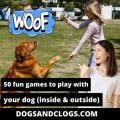 50 Fun Games To Play With Your Dog (Inside & Outside) – DogsAndClogs