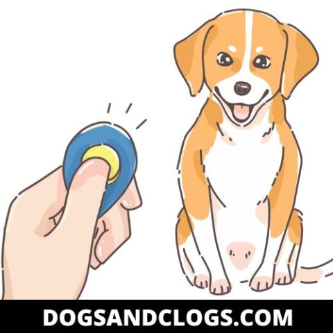 101 Easy & Cool Tricks To Teach Your Dog (Step-By-Step) - DogsAndClogs