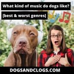 What Kind Of Music Do Dogs Like? [Best & Worst Genres] - DogsAndClogs