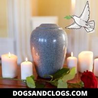 101 Goodbye Messages To My Dog Who Passed Away – DogsAndClogs