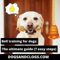 Bell Training For Dogs: The Ultimate Guide (7 Easy Steps) – DogsAndClogs