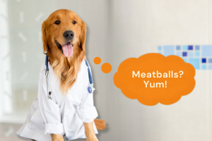 Homemade Meatballs for Dogs (Vet Approved)