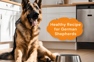 Homemade Dog Food For German Shepherds (Recipe)
